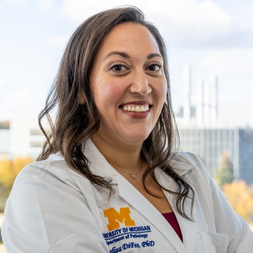 Department of Pathology - DiFeo Lab Recognized with Outstanding Journal ...
